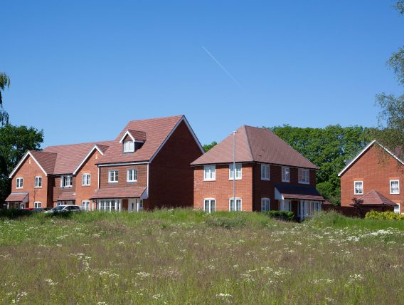 Land Development - Westerhill Homes